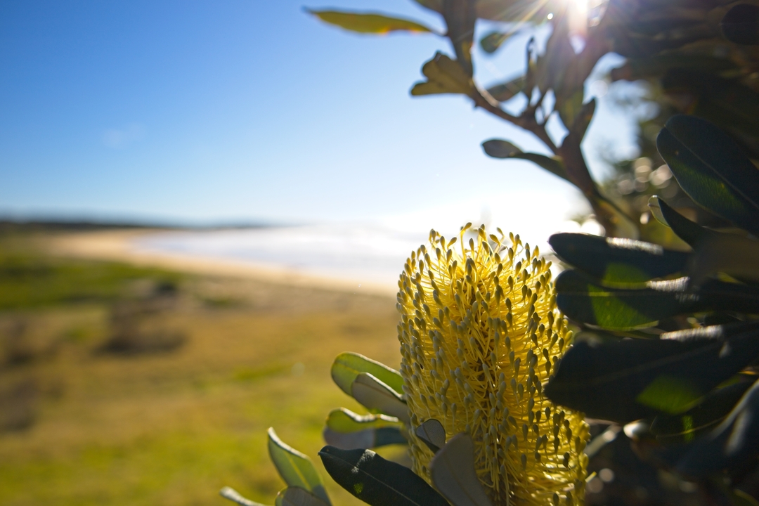 Meringo Point Sanctuary - Humane World for Animals Australia