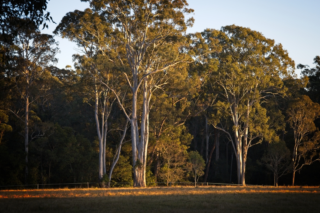 Meringo Point Sanctuary - Humane World for Animals Australia