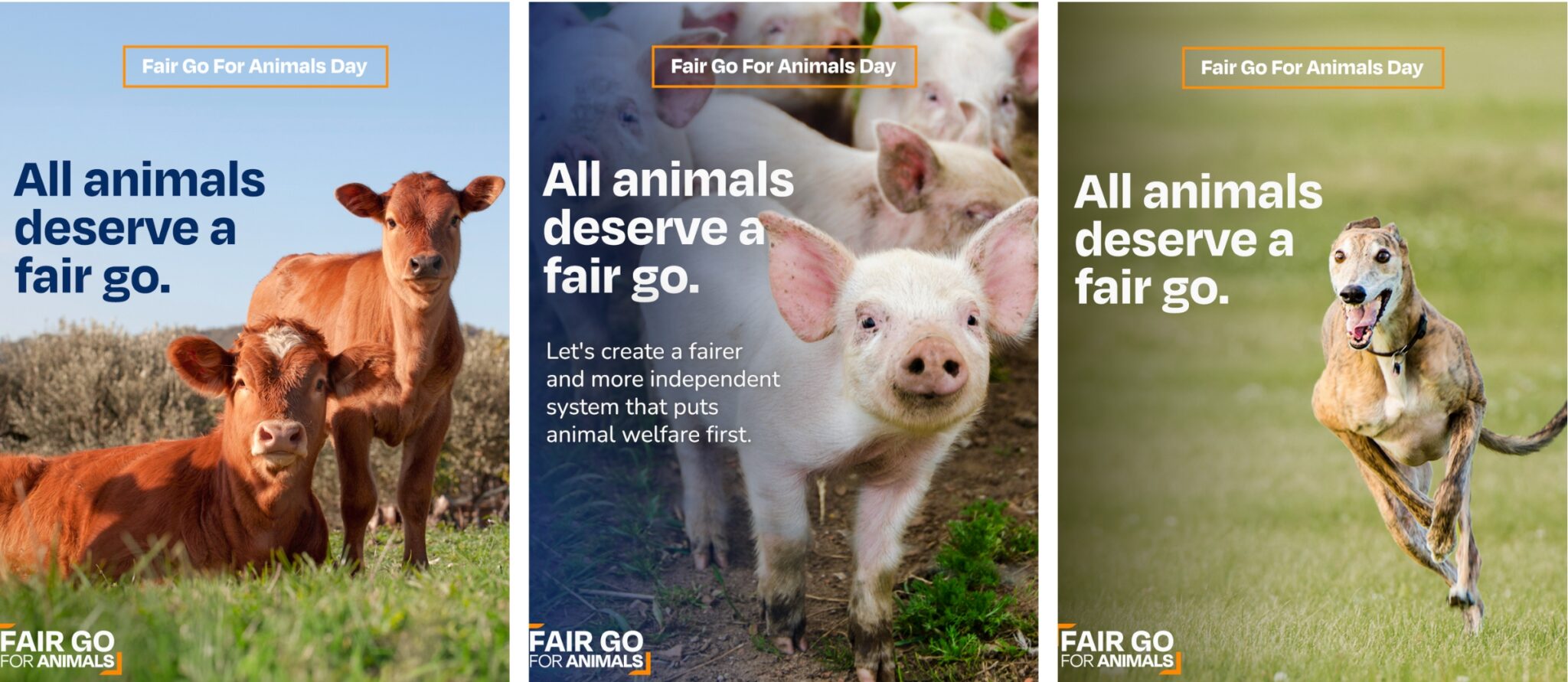Fair Go for Animals Day 2025 - Humane World for Animals