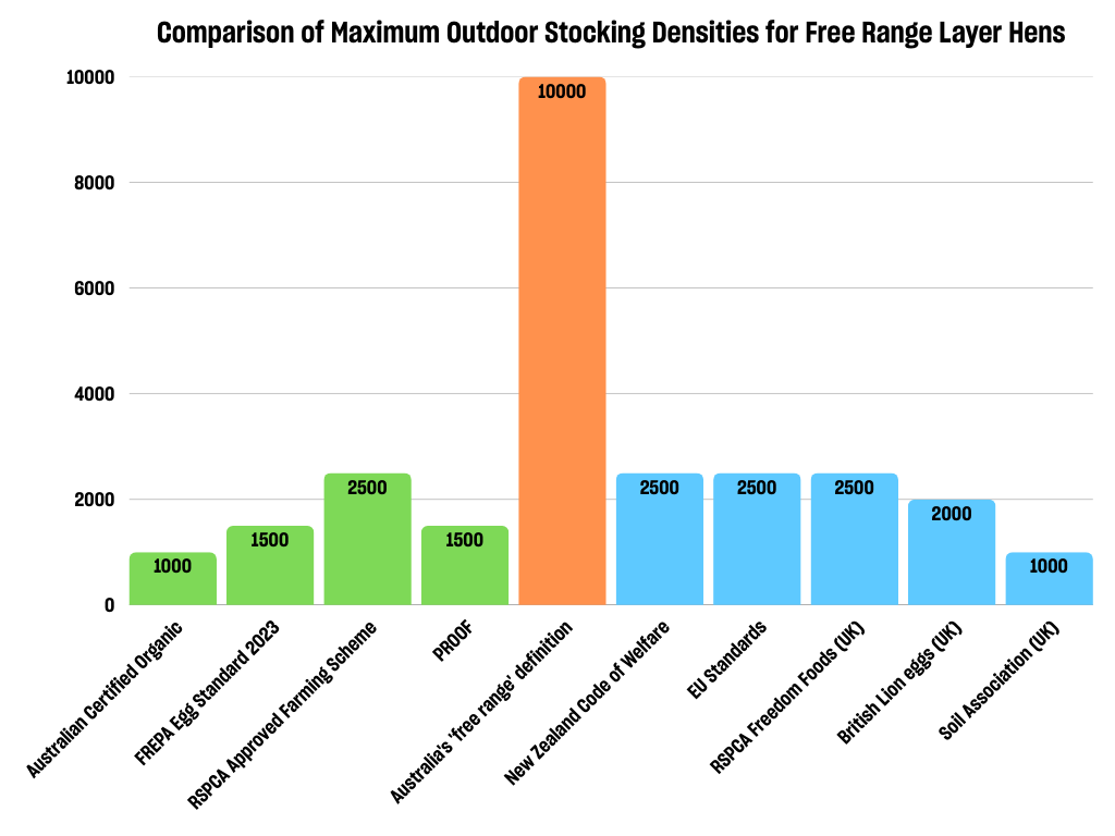 Are your eggs actually free range? - Humane World for Animals Australia