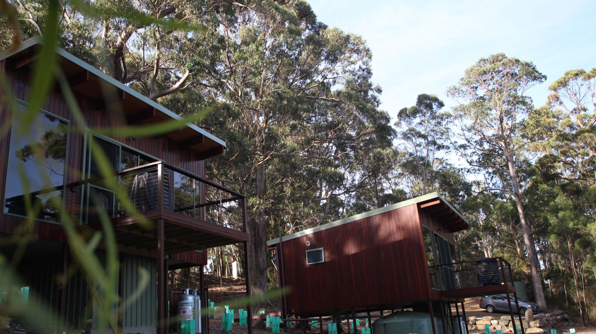 Raptor Refuge and Eagle Ridge Retreat - Humane World for Animals Australia